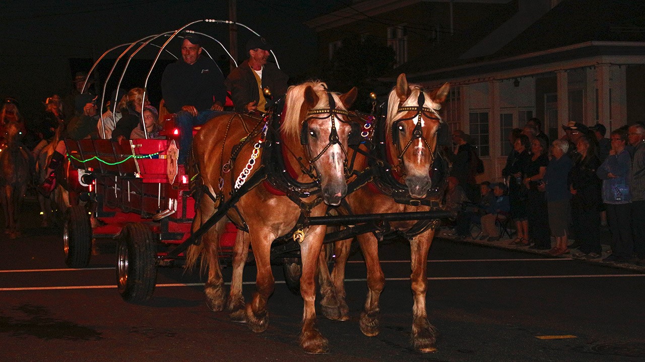 La parade de chevaux illuminés obtient les faveurs de Dame nature à ...