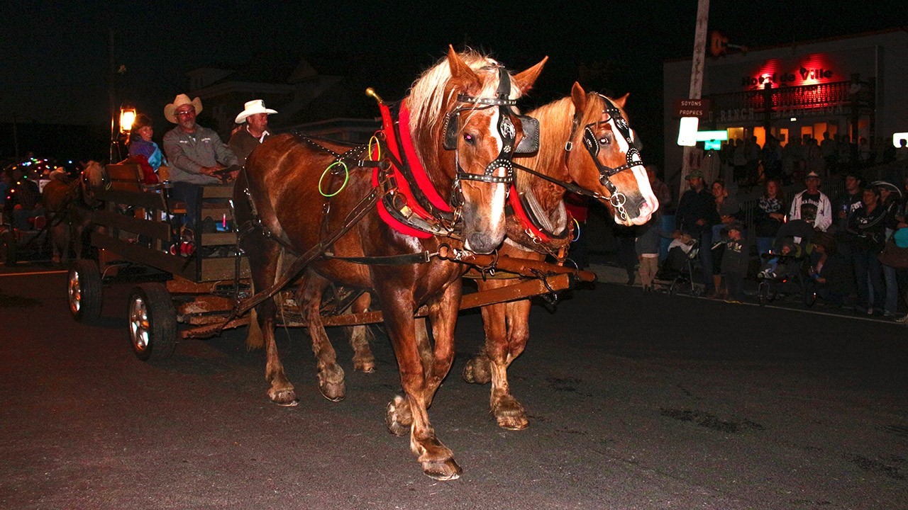 La parade de chevaux illuminés obtient les faveurs de Dame nature à ...