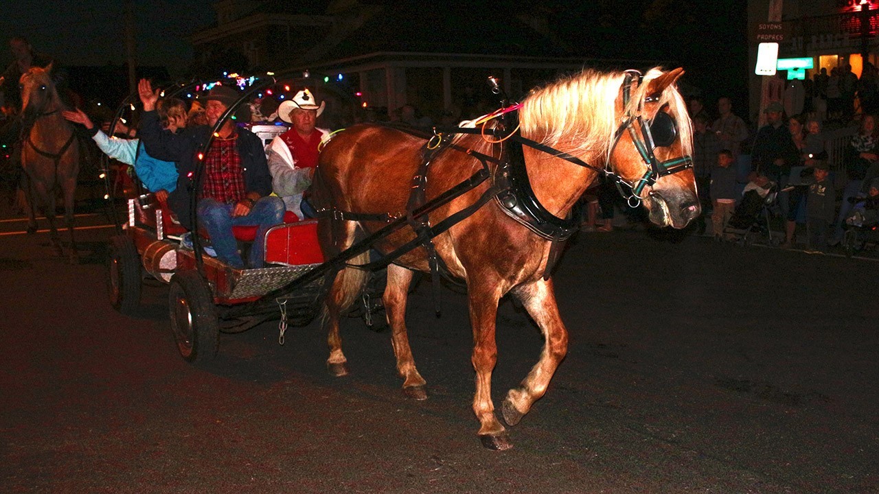 La parade de chevaux illuminés obtient les faveurs de Dame nature à ...