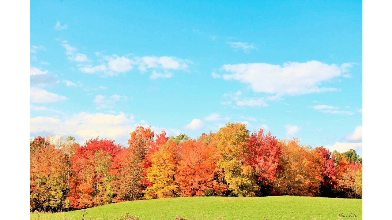 Replongez-vous dans les couleurs de l'automne grâce aux images de nos ...
