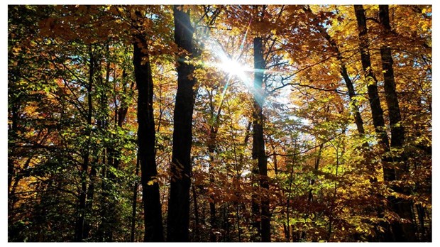 Replongez-vous dans les couleurs de l'automne grâce aux images de nos ...