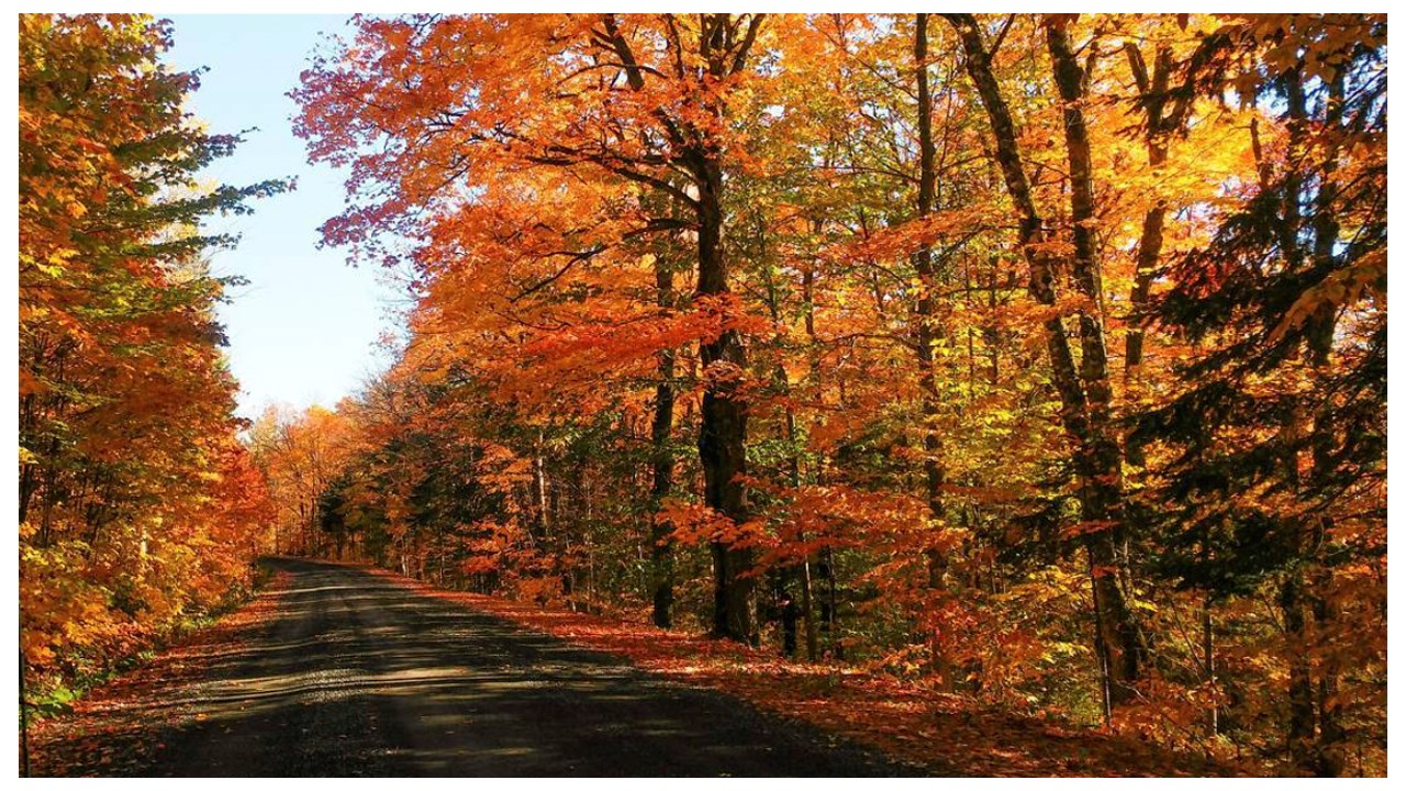 Replongez-vous dans les couleurs de l'automne grâce aux images de nos ...