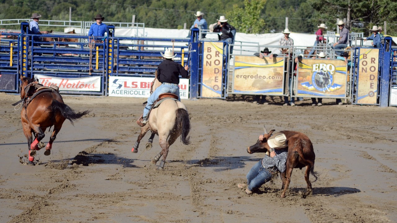 Des estrades pleines pour la finale du rodéo des Festivités western de ...