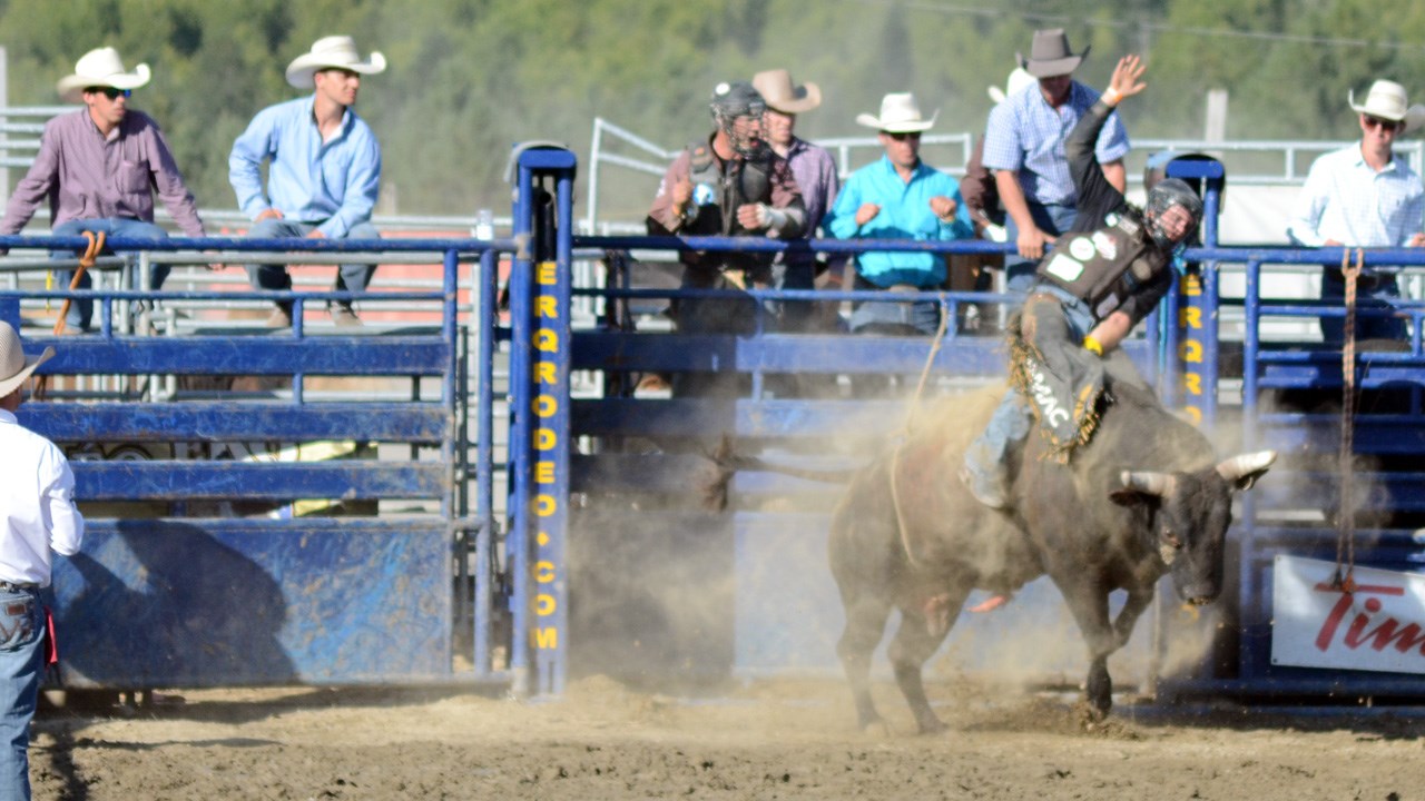 Des estrades pleines pour la finale du rodéo des Festivités western de ...