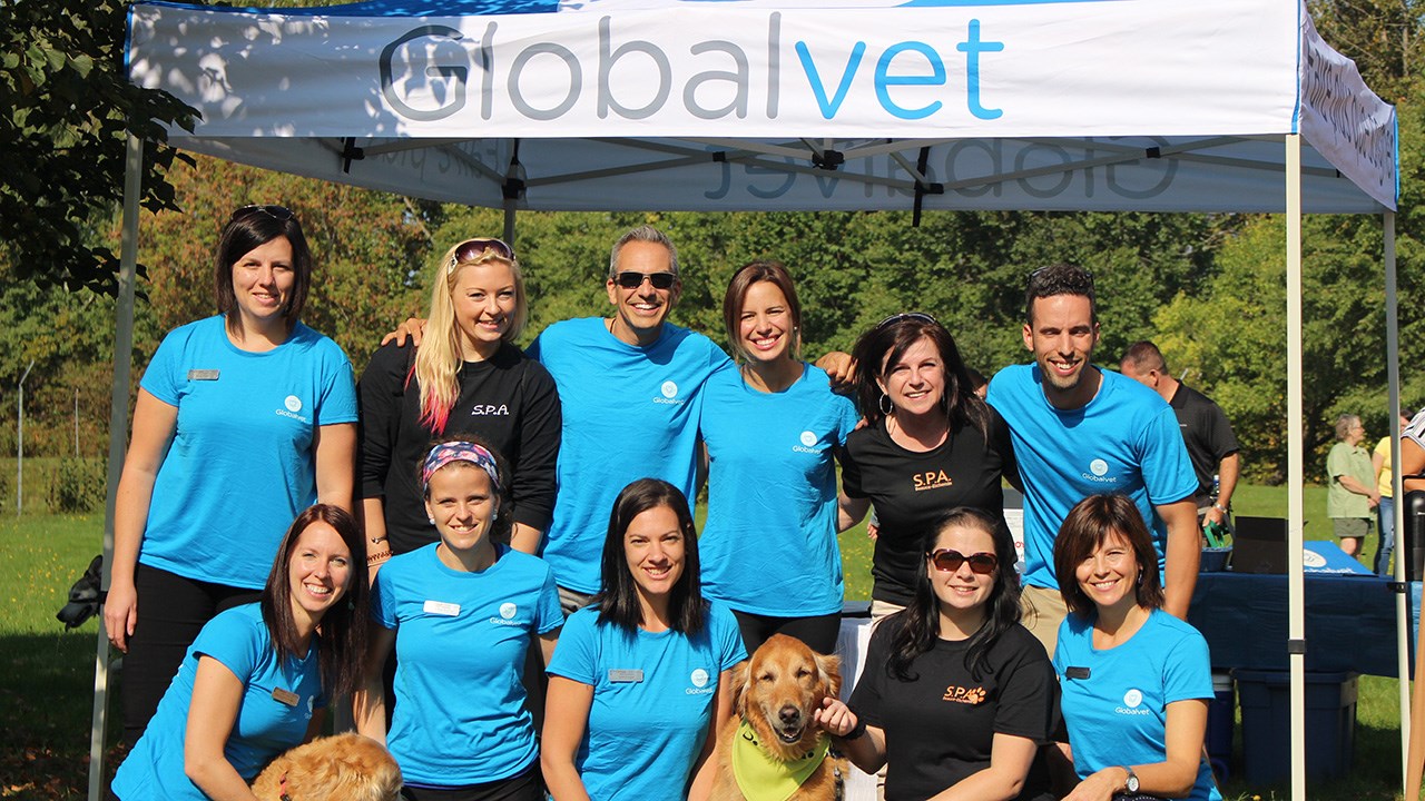 Marche canine Globalvet au profit de la SPA