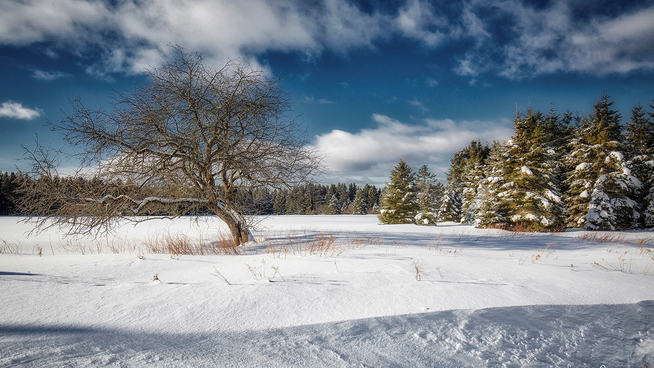 PHOTOS | L'hiver en Beauce dans toute sa splendeur (2 sur 5)