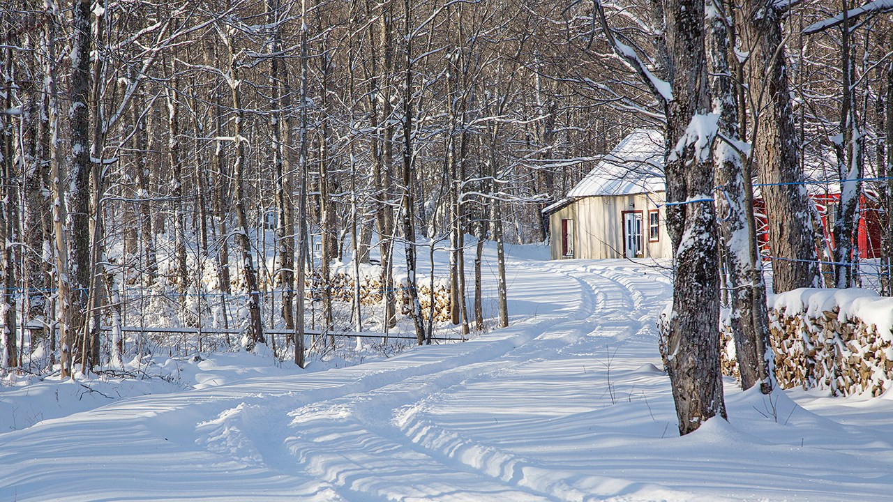 PHOTOS | L'hiver en Beauce dans toute sa splendeur (2 sur 5)