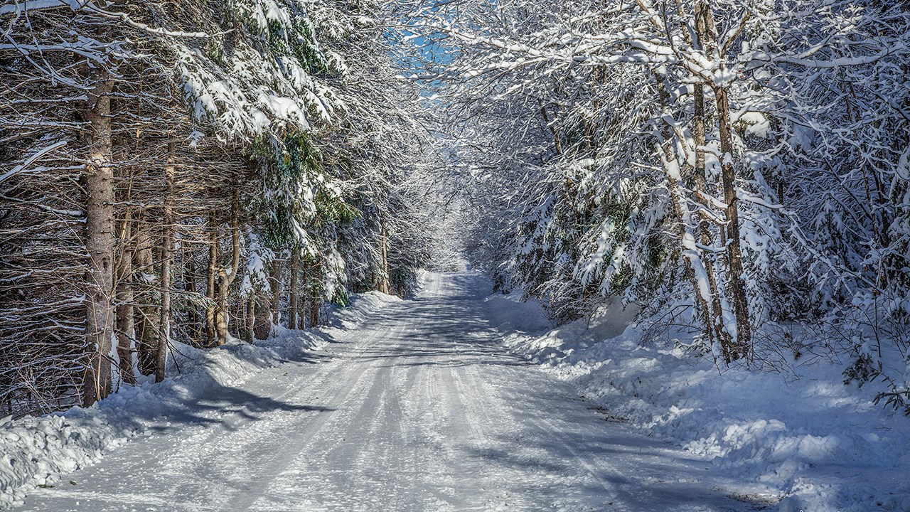 PHOTOS | L'hiver en Beauce dans toute sa splendeur (2 sur 5)