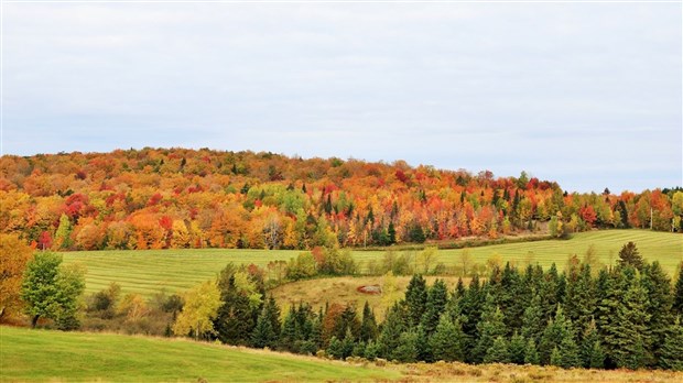 Galerie photos 2 : votre vision de l'automne ! | EnBeauce.com