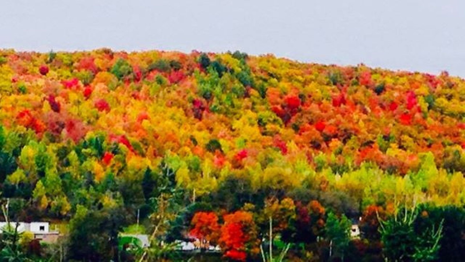 Galerie photos 2 : votre vision de l'automne