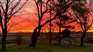 Galerie photos 4 : votre vision de l'automne ! | EnBeauce.com