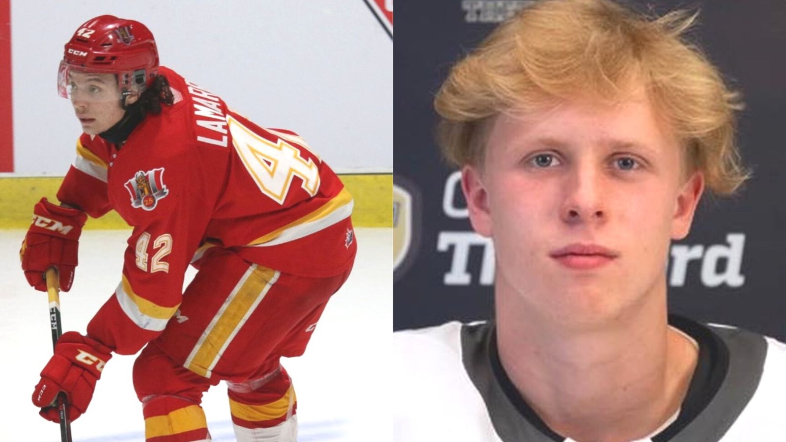 Hockey: les Condors reprennent l'action avec de nouveaux visages